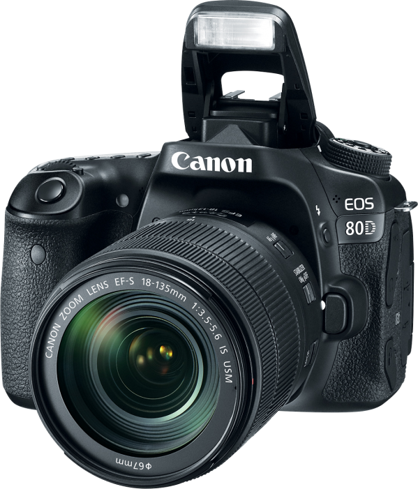 Top 10 Best DSLR Camera for Beginners and Professionals-2020